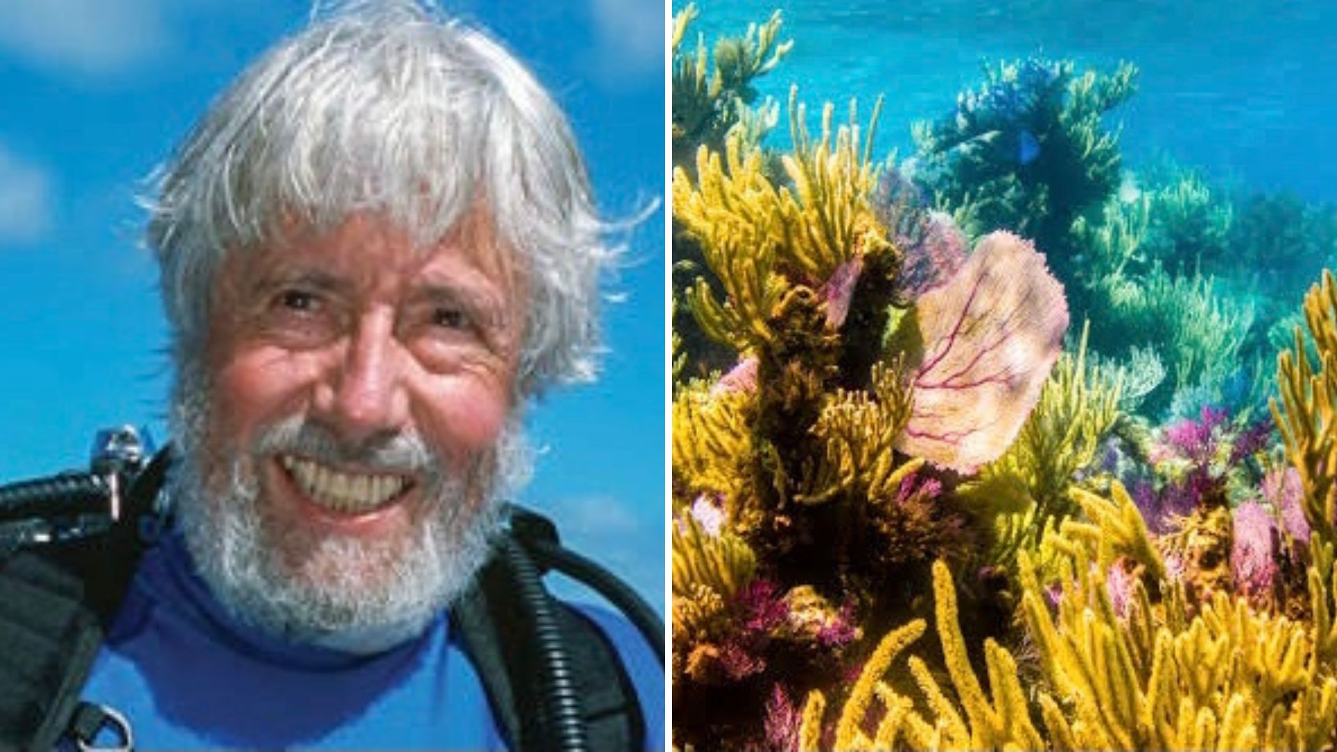 ARRECIFES DE CORAL EN PUERTO MORELOS EN RIESGO, ADVIERTE JEAN-MICHEL ...