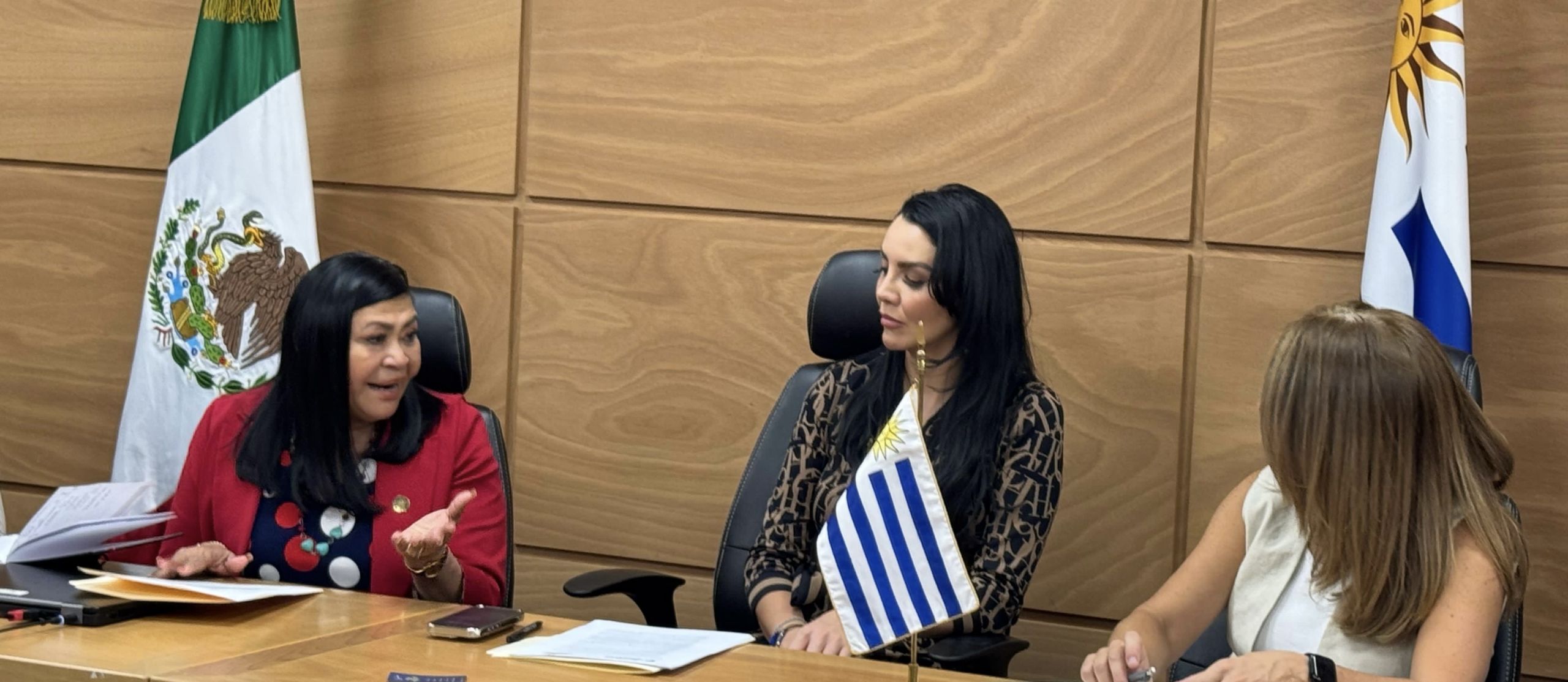 EXPONE MILDRED ÁVILA ANTE LEGISLADORAS URUGUAYAS, AVANCES DE MÉXICO EN ...
