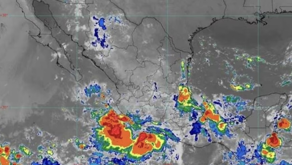 tropical Mario | Jaime Farias Informa